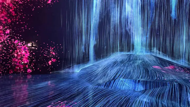 팀랩 바이오보텍스 교토 완전 정복: 예약부터 복장, 필수 Q&A 총정리